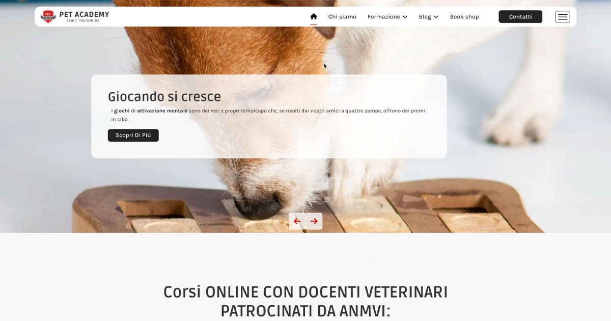 Home - Pet Academy | Learn, Improve, Do.